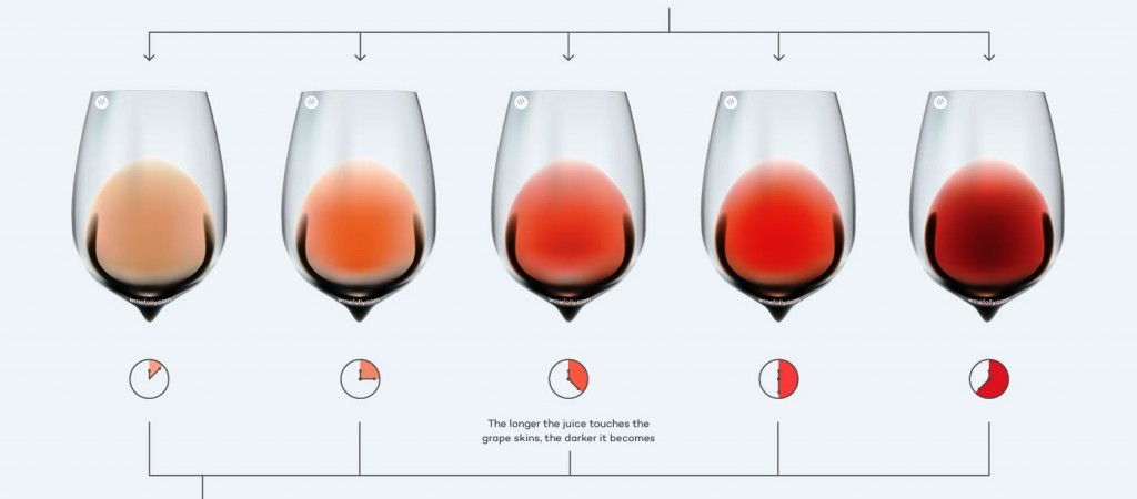 Processos de Elaboração – Vinhos Rosé | Falando de Vinhos desde 2007