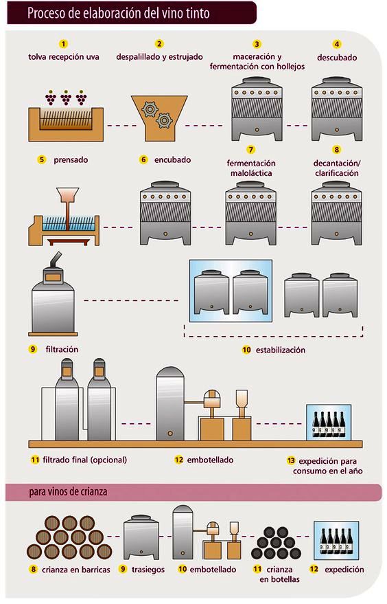 Processo De Fermentacao Do Vinho Como Funciona A Fermentação Do